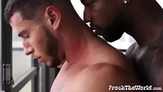 John Bronco 2024 Kostenlose Schwulen Porno Star Videos Xhamster