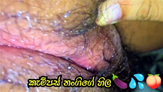 Sri Lankan Shop Sex Kade Antige Puka Peluwa Xhamster