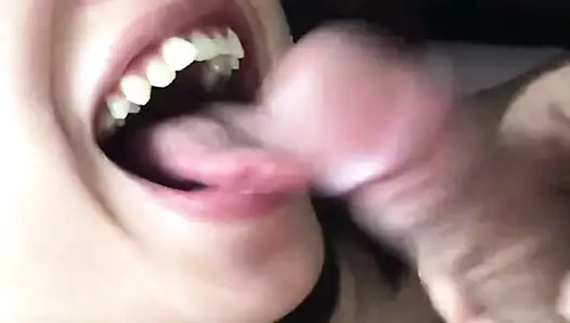 Free Malay Blowjob Porn Videos Xhamster 