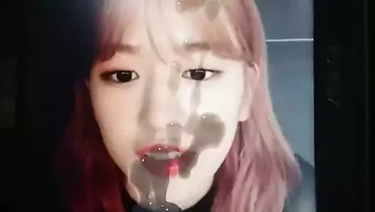 Izone Ahn Yujin Cumtribute Xhamster