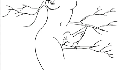 Funny Porn Videos 9 Xhamster 3236
