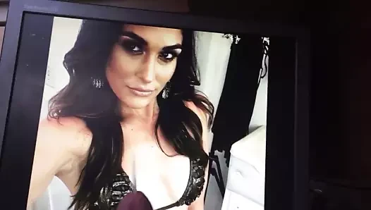 Brie Bella Cumtribute 3 Xhamster